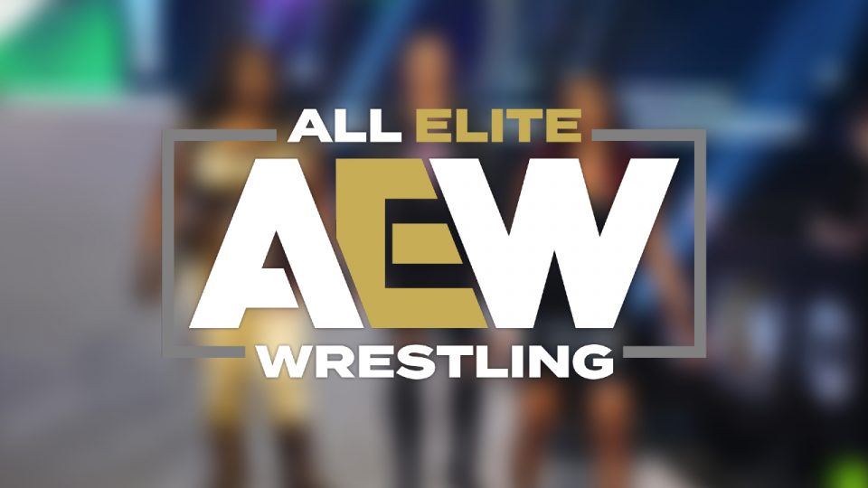 Former AEW Star "Unheard" In The Company – TJR Wrestling