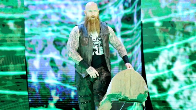 Erick Rowan On What WWE Had Planned For His Pet Cage Storyline – TJR ...