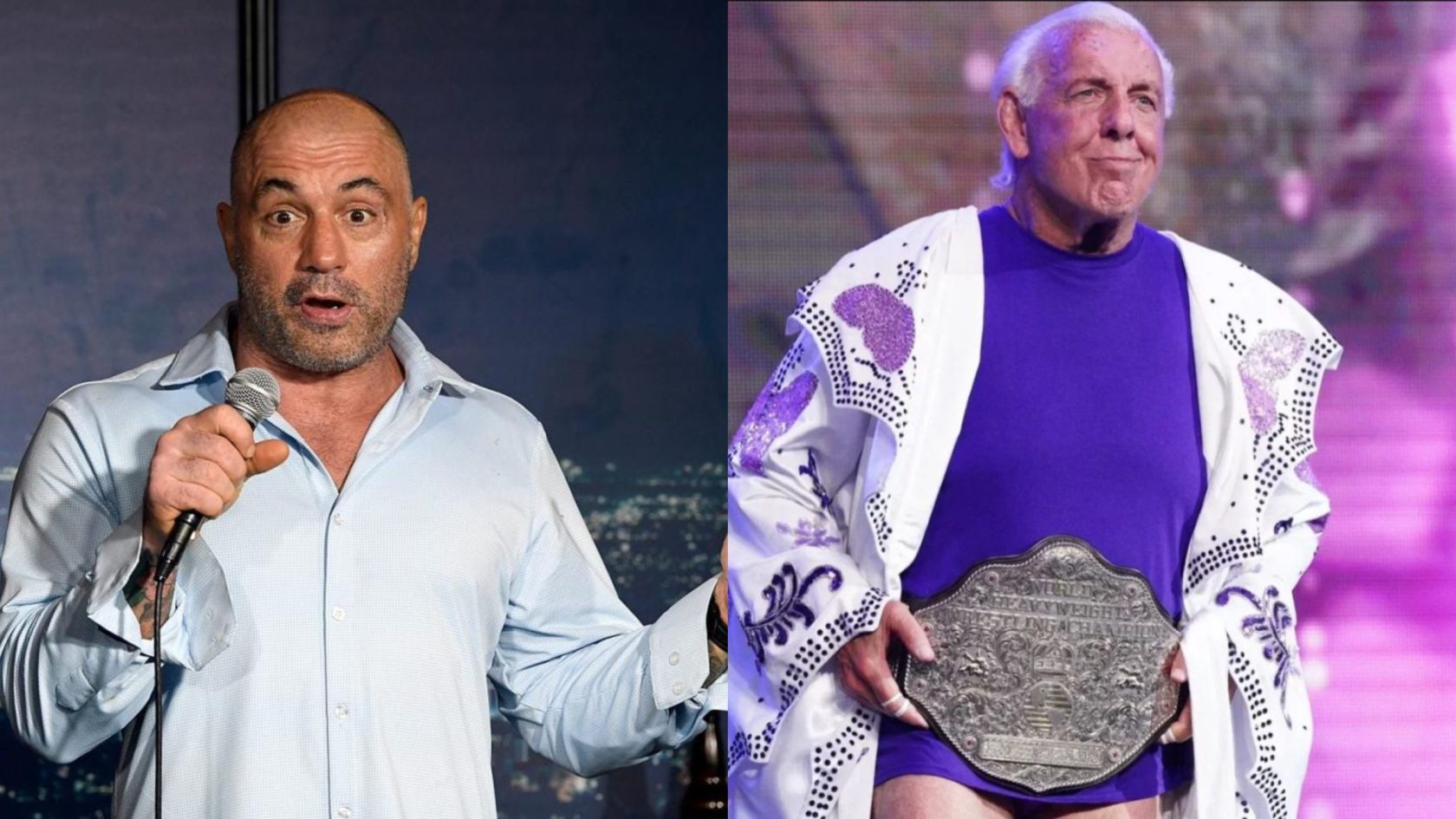 Joe Rogan Criticizes Ric Flair’s Iconic Finisher – TJR Wrestling