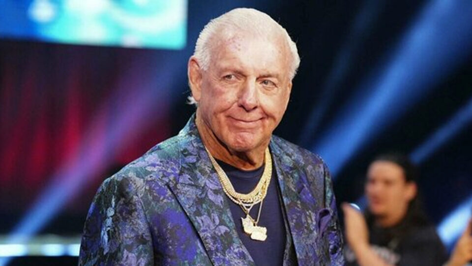 Current WWE Champion Pitched To Join Seth Rollins' Faction, The Vision ...