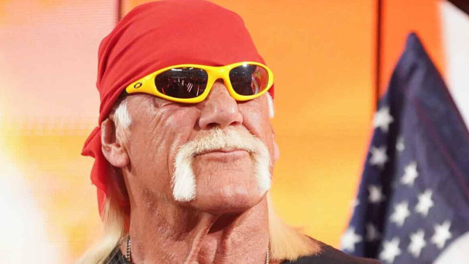 The Real Story Behind WWE Legend Making Hulk Hogan Tap Out – TJR Wrestling