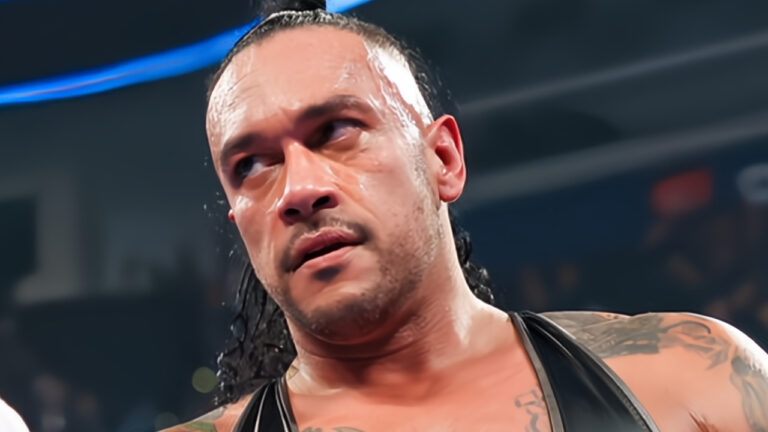 Released Female WWE Star Finally Addresses Relationship With Damian ...