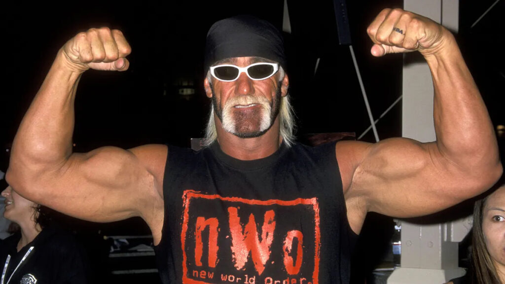Hulk Hogan's Bizarre Claim That He Wrestled More Than 365 Days In A ...