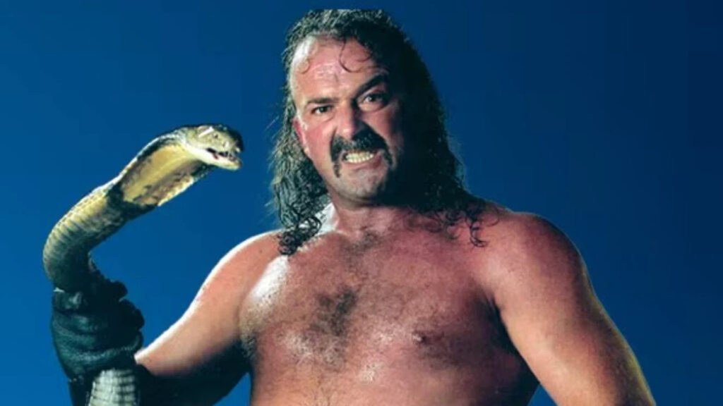 Jake Roberts Reveals How The DDT Could Work As A Finisher Today – TJR ...