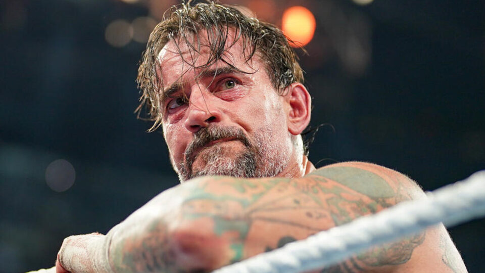 Huge WWE Star Knocks Out CM Punk & Seemingly Joins The Vision – TJR ...