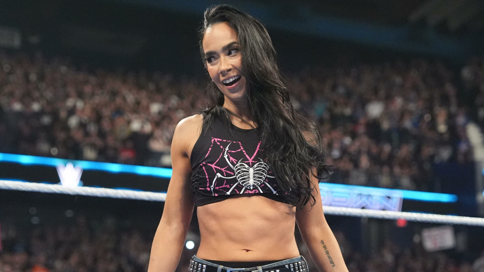 Massive Update On AJ Lee's WWE Future Following Imminent Return – TJR Wrestling