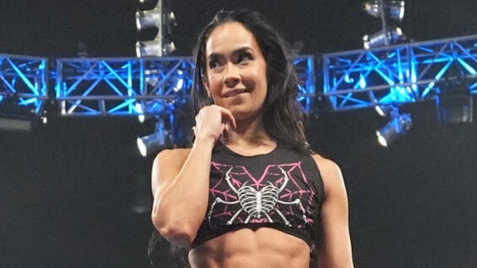 AJ Lee's Return Match Officially Announced For WWE Wrestlepalooza – TJR ...