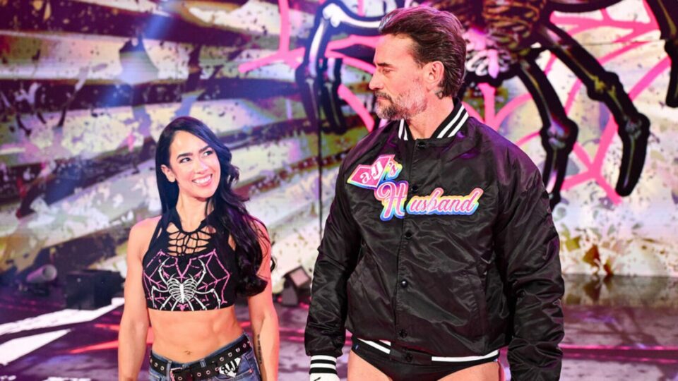 AJ Lee Breaks Silence On Her WWE In-Ring Return At Wrestlepalooza – TJR Wrestling