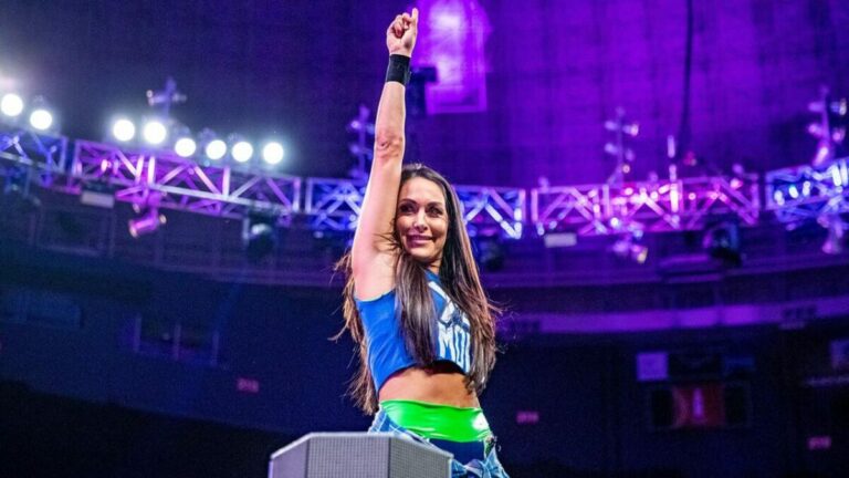 "It's S*x And Tacos" - WWE Legend Brie Bella Makes A Spicy Confession ...
