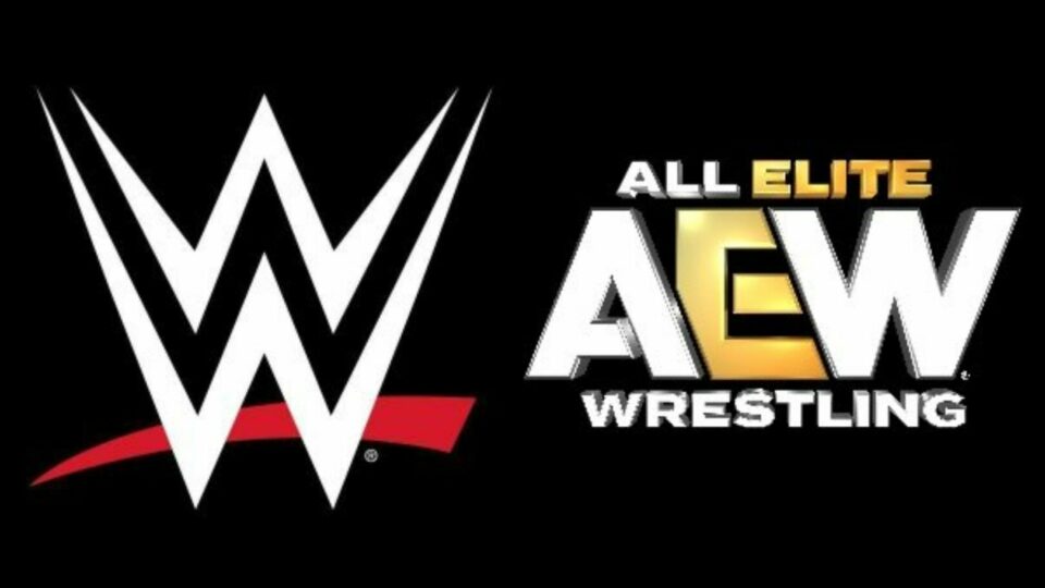 Major Update On Trish Stratus' Future In WWE – TJR Wrestling