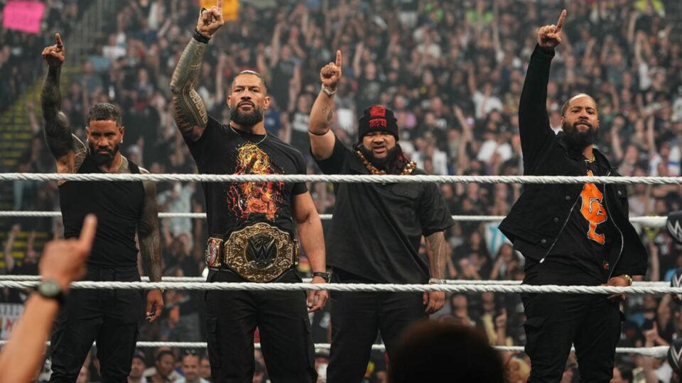 WWE Officially Confirms New Champion After Top Star Gets Stripped Of ...